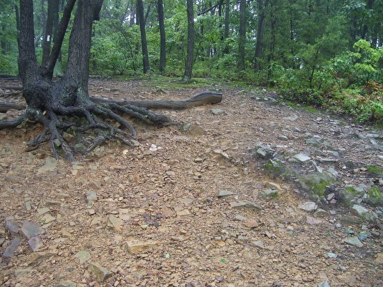 Lynch Erosion – Mount Nittany