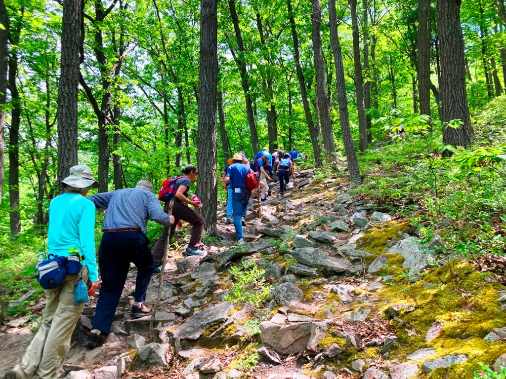 A Memorial Day Weekend Hike on Mount Nittany – Mount Nittany